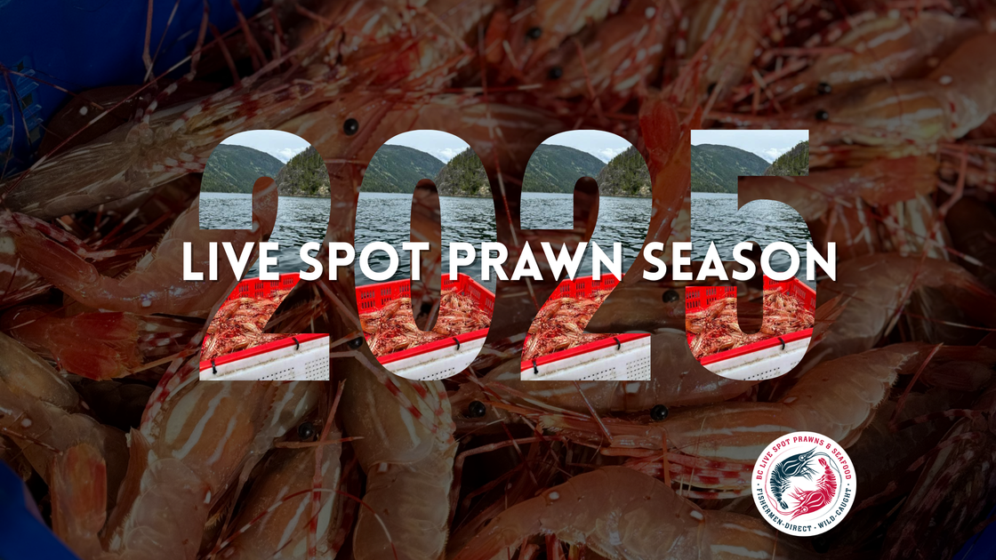 Live Spot Prawns 2025: All the Ways to Order This Season