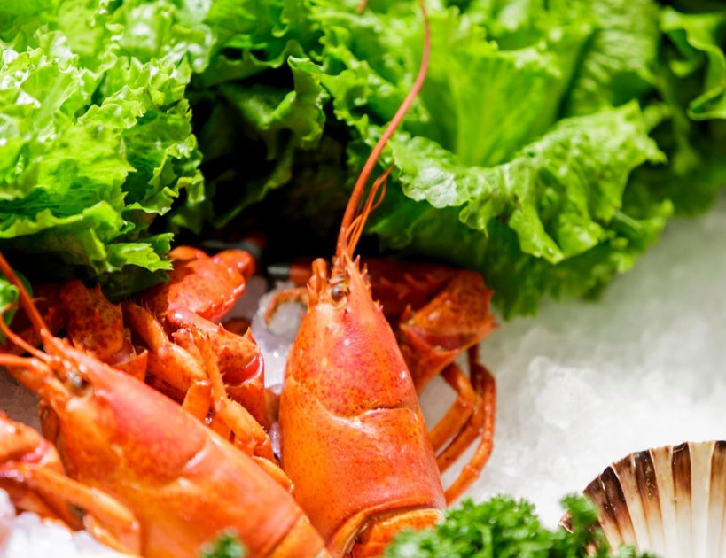 Flash-Frozen at Sea: The New Fresh | BC Live Spot Prawns & Seafood Blog