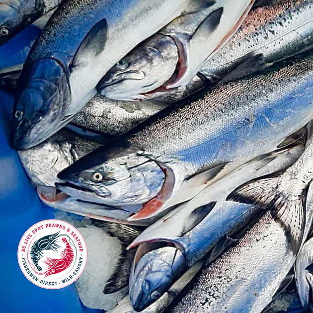 Fresh Wild Sockeye Salmon (Seasonal) 2025 – Tagged "wild fish"
