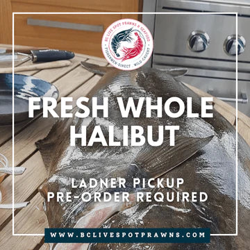 Halibut