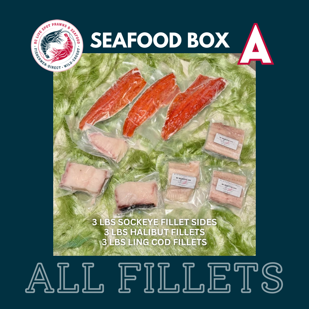 Seafood Sampler Boxes | Buy BC Live Spot Prawns & Seafood