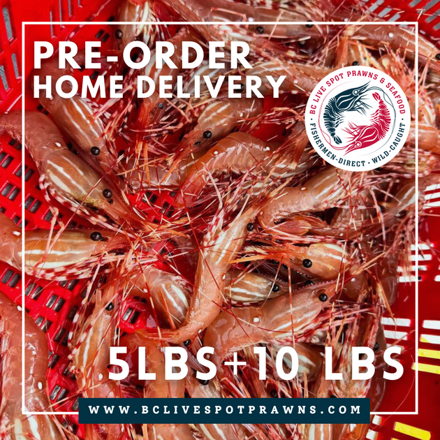 Wild Spot Prawns & Shrimp