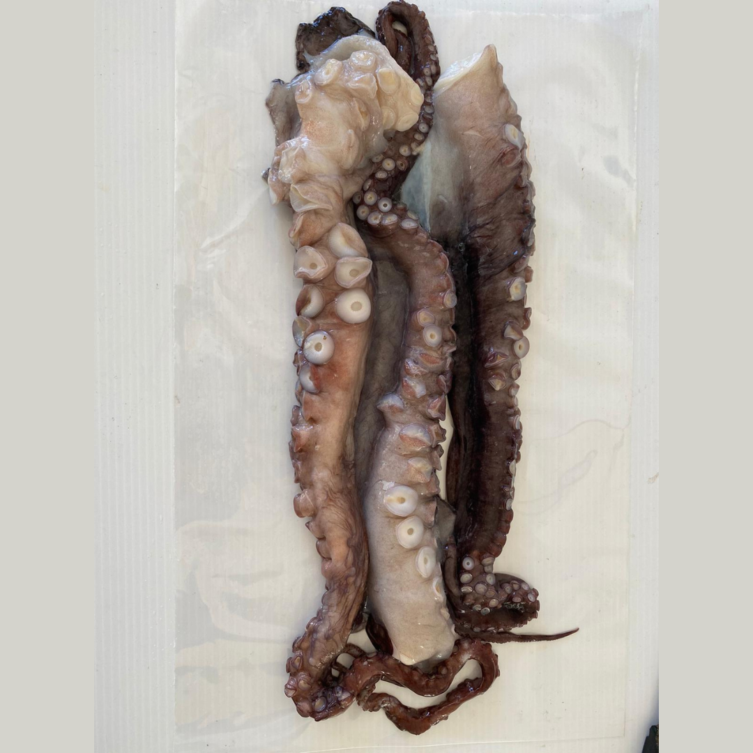 Wild Frozen Octopus Online | BC Live Spot Prawns & Seafood