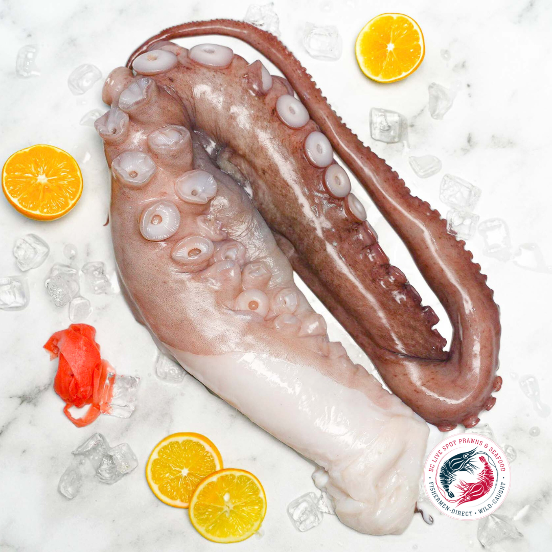 Wild Frozen Octopus Online | BC Live Spot Prawns & Seafood