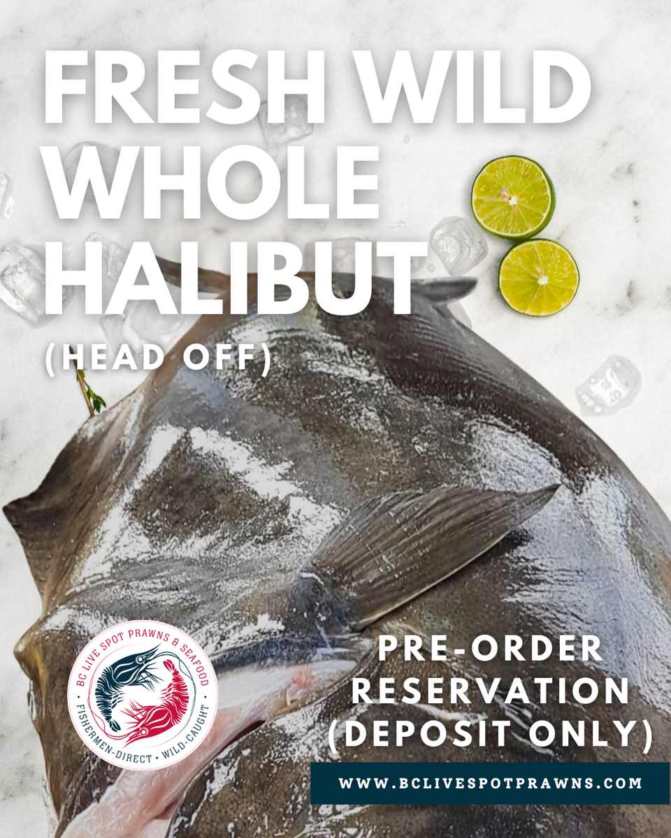 Buy Wild Pacific Halibut Online | Fresh Whole Halibut For Sale