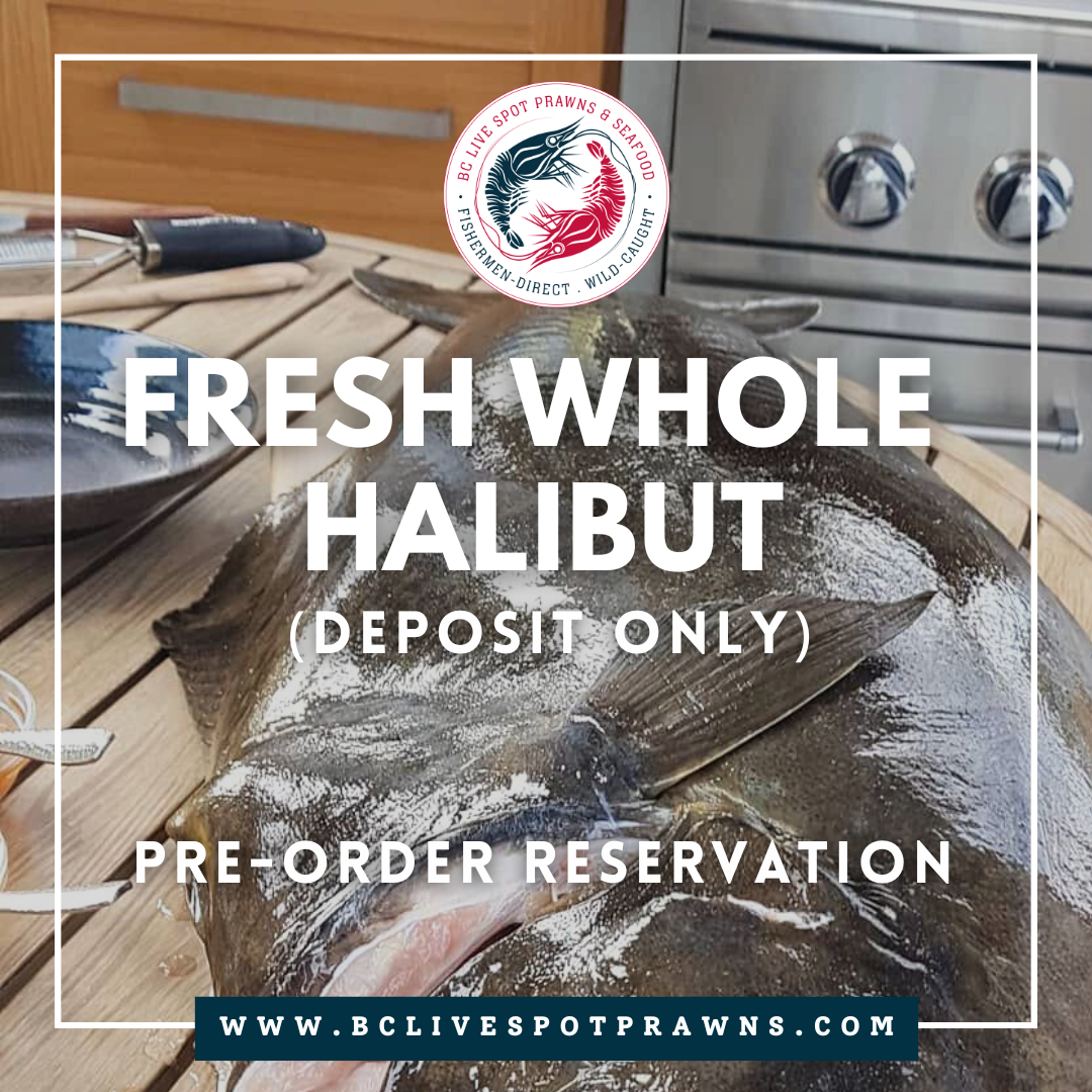 Buy Wild Pacific Halibut Online | Fresh Whole Halibut For Sale