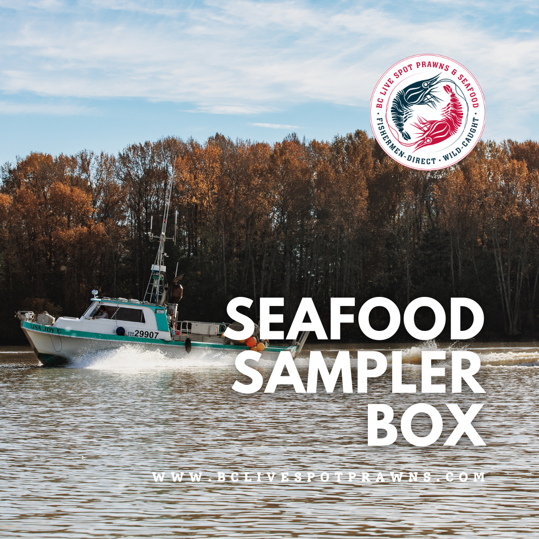 Seafood Sampler Boxes | Buy BC Live Spot Prawns & Seafood